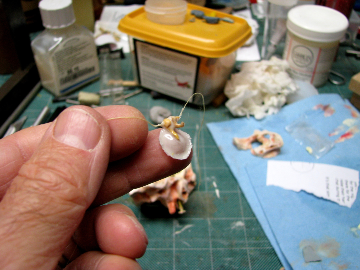 Writing sound with a human ear: reconstructing Bell and Blake’s 1874 ...